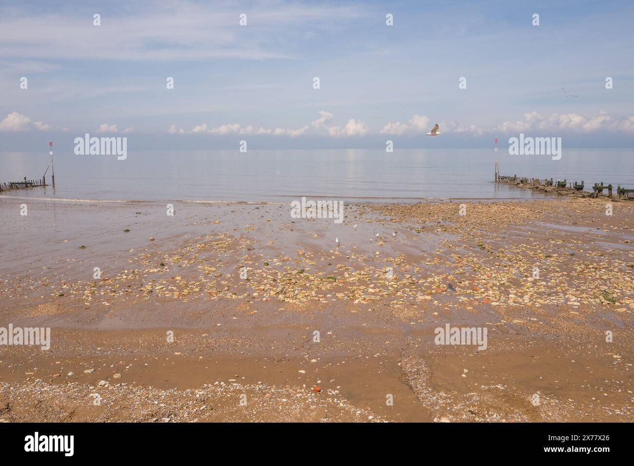 Wooden sea defences or groynes on the beach at Hunstanton, North ...