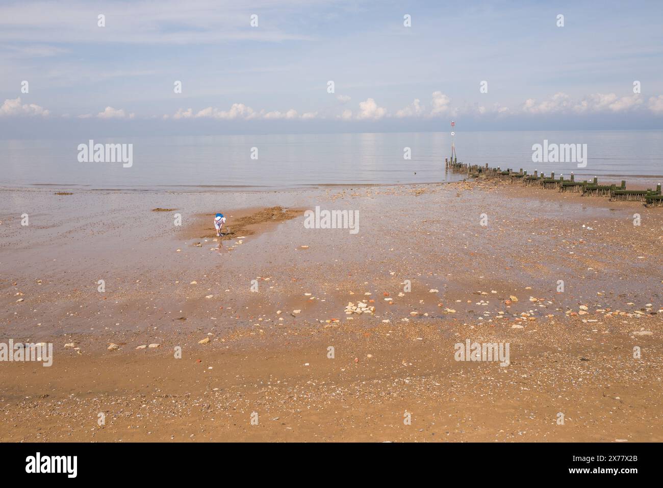 Wooden sea defences or groynes on the beach at Hunstanton, North ...