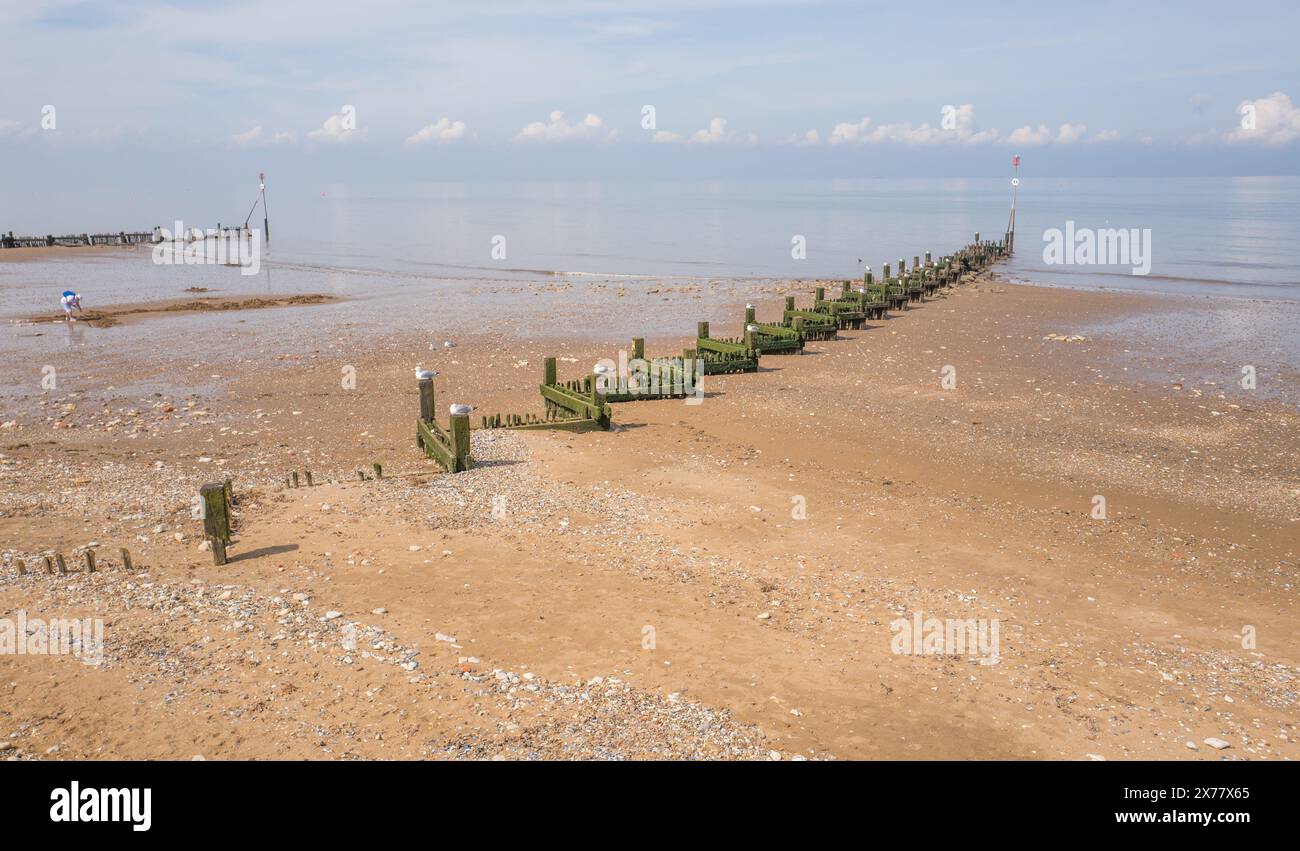 Wooden sea defences or groynes on the beach at Hunstanton, North ...