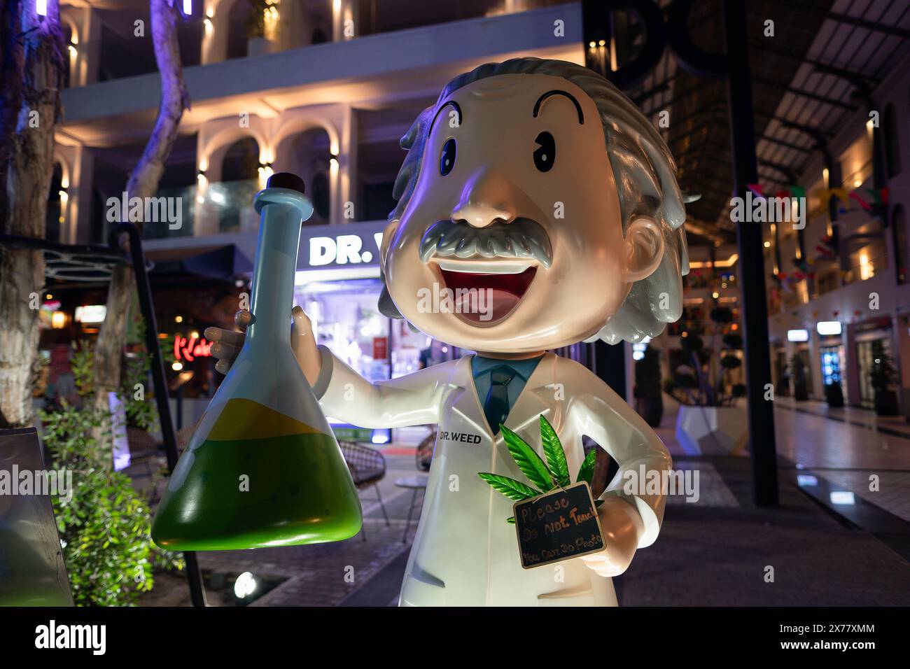 PHUKET, THAILAND - APRIL 15, 2023: doctor statue outside Dr. Weed ...