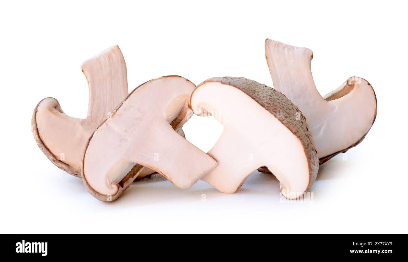 Front view of shiitake mushroom in halves in stack is isolated on white ...