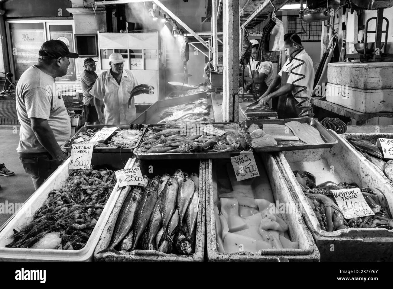 Fresh Fish For Sale In The Mercado Central, Santiago, Chile Stock Photo ...