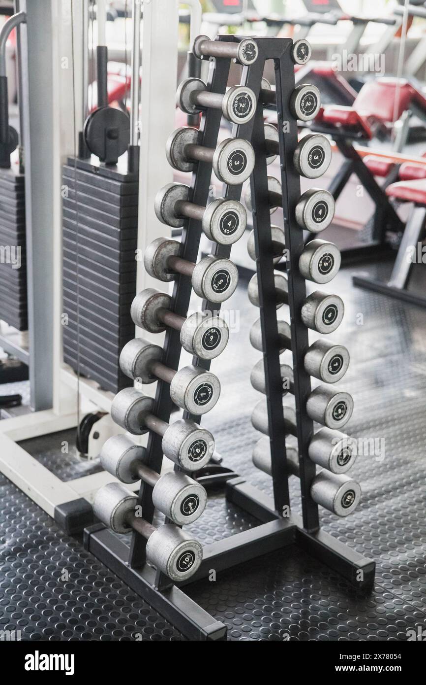 Deadlift with dumbbells hi-res stock photography and images - Alamy