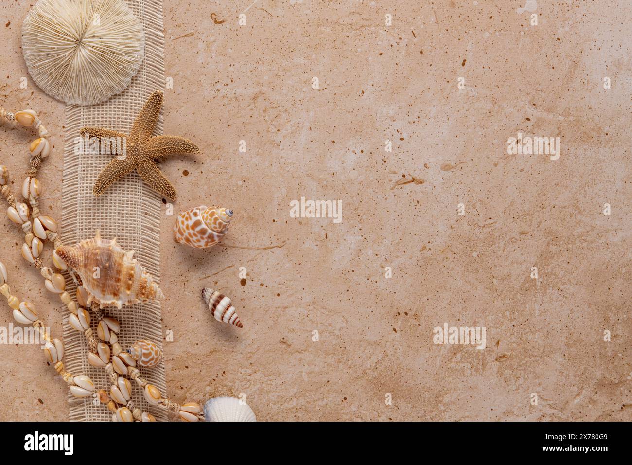 tropical seashore corner border background with shells starfish and ...