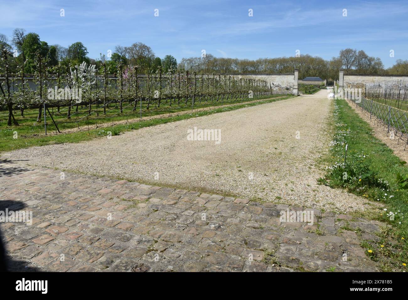 Le jardin du roi à Versailles Stock Photo - Alamy