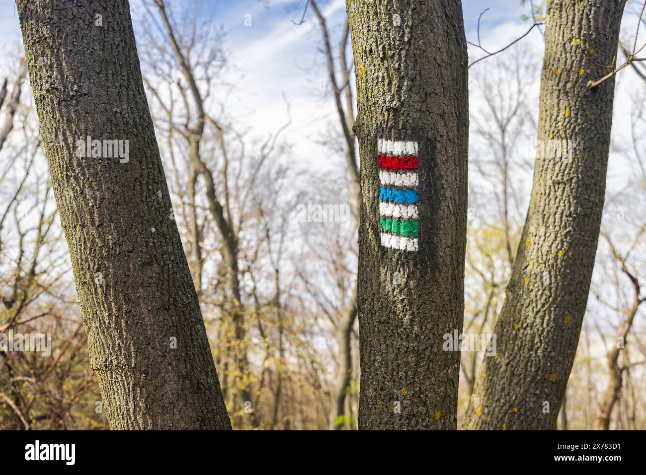 Hiking trail signs on a tree trunks Stock Photo - Alamy