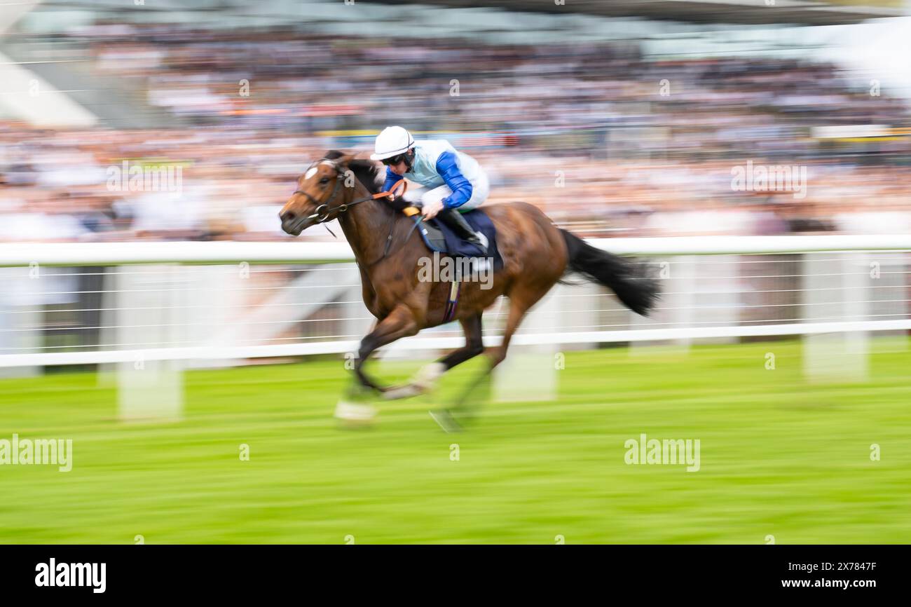Thoroughbred horse owner hi-res stock photography and images - Alamy