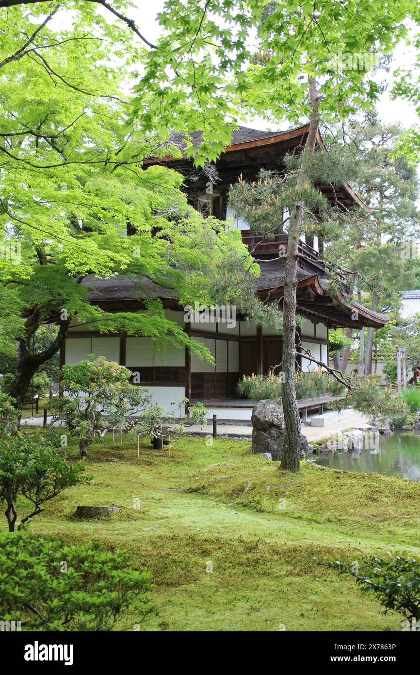 Japanese garden temple moss hi-res stock photography and images - Alamy