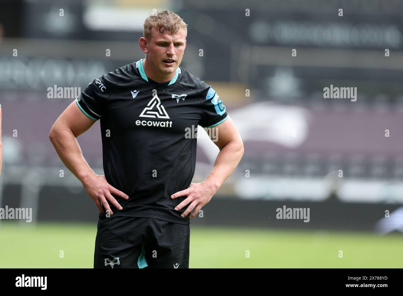 Swansea, UK. 18th May, 2024. Jac Morgan of the Ospreys looks on. United ...