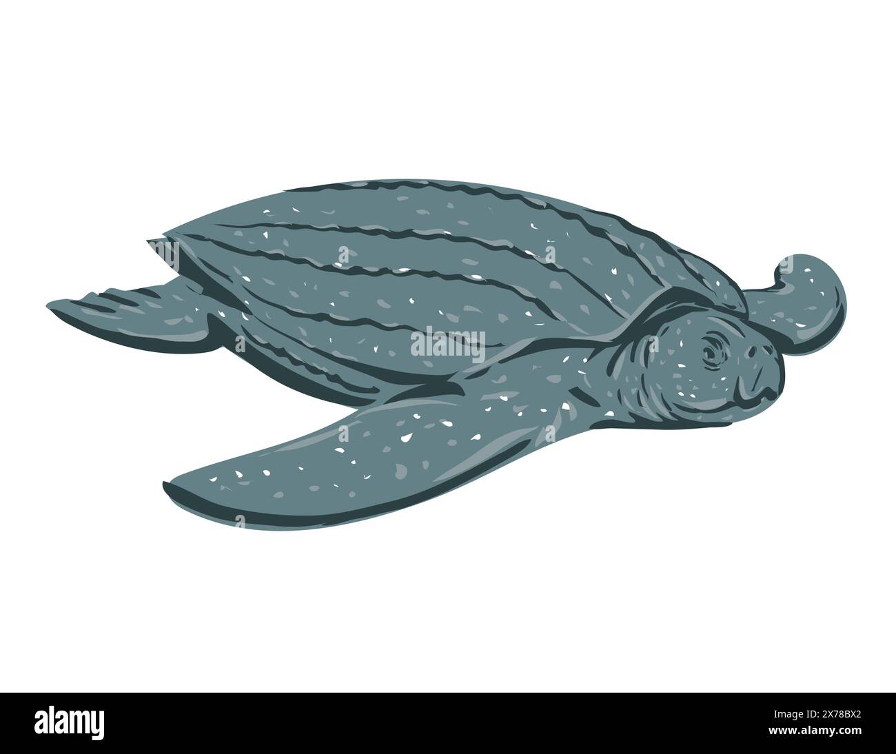 WPA poster art of a leatherback sea turtle, Dermochelys coriacea, lute ...