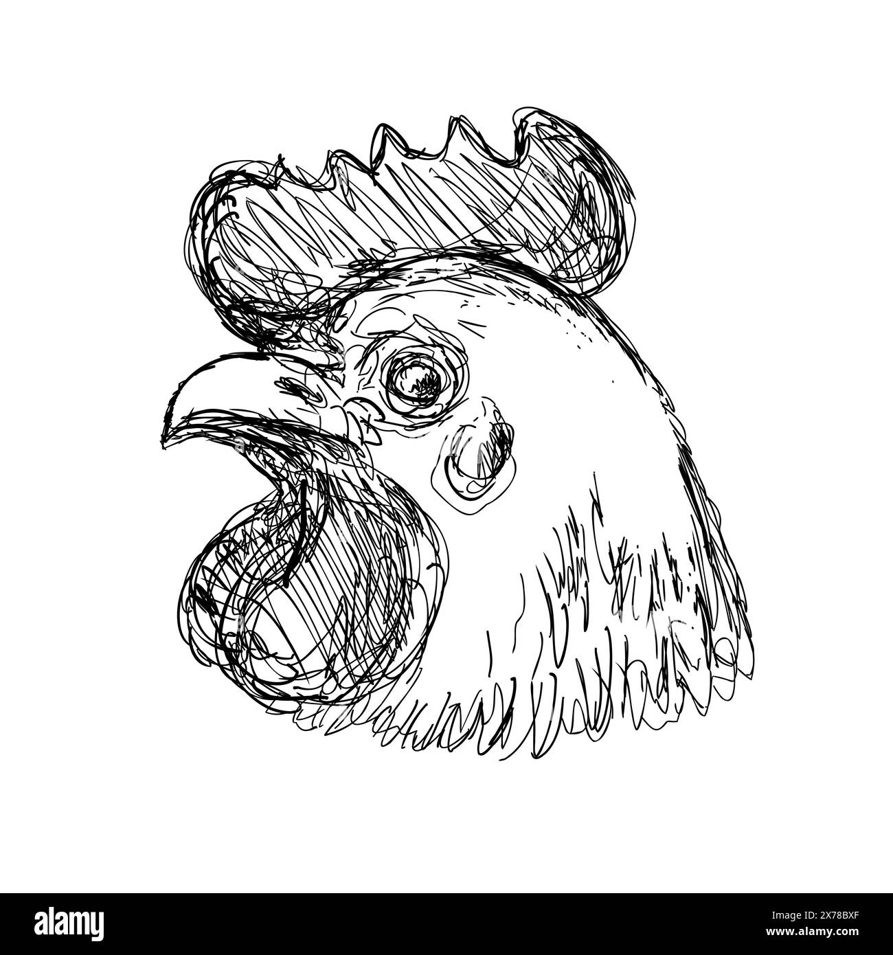 White leghorn chicken Stock Vector Images - Alamy