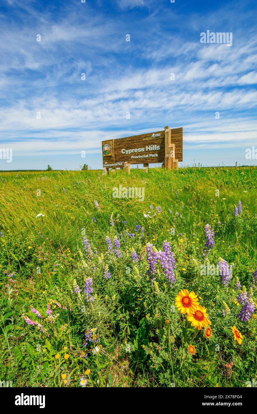 A large wooden sign in a field of wildflowers at the south entrance to ...