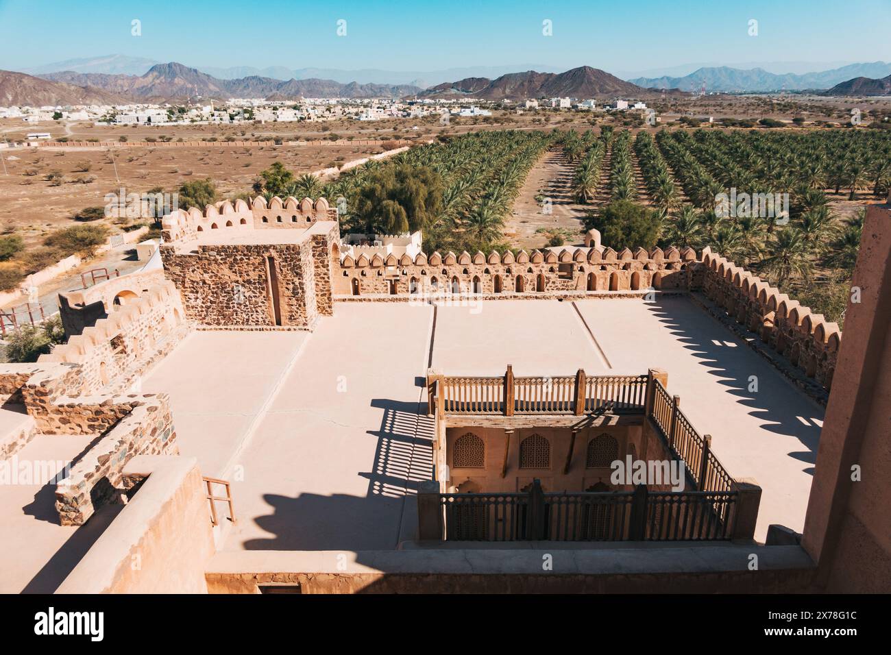 a view of the landscape and palm plantation from the roof of Jabreen ...