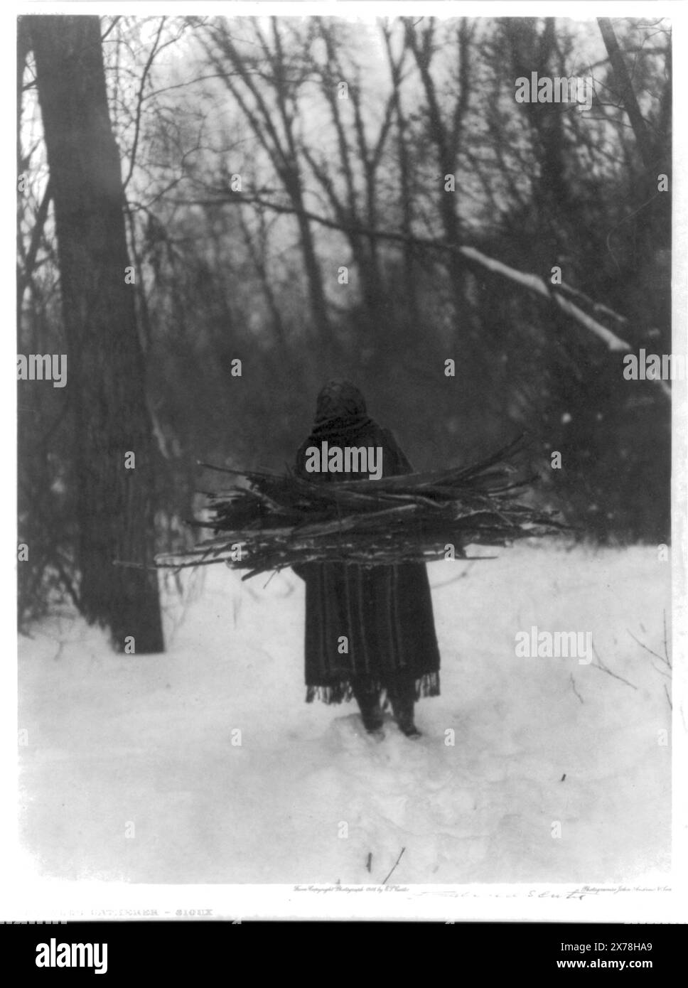 The wood gatherer Sioux, Curtis no. 2489-08., Forms part of: Edward S ...