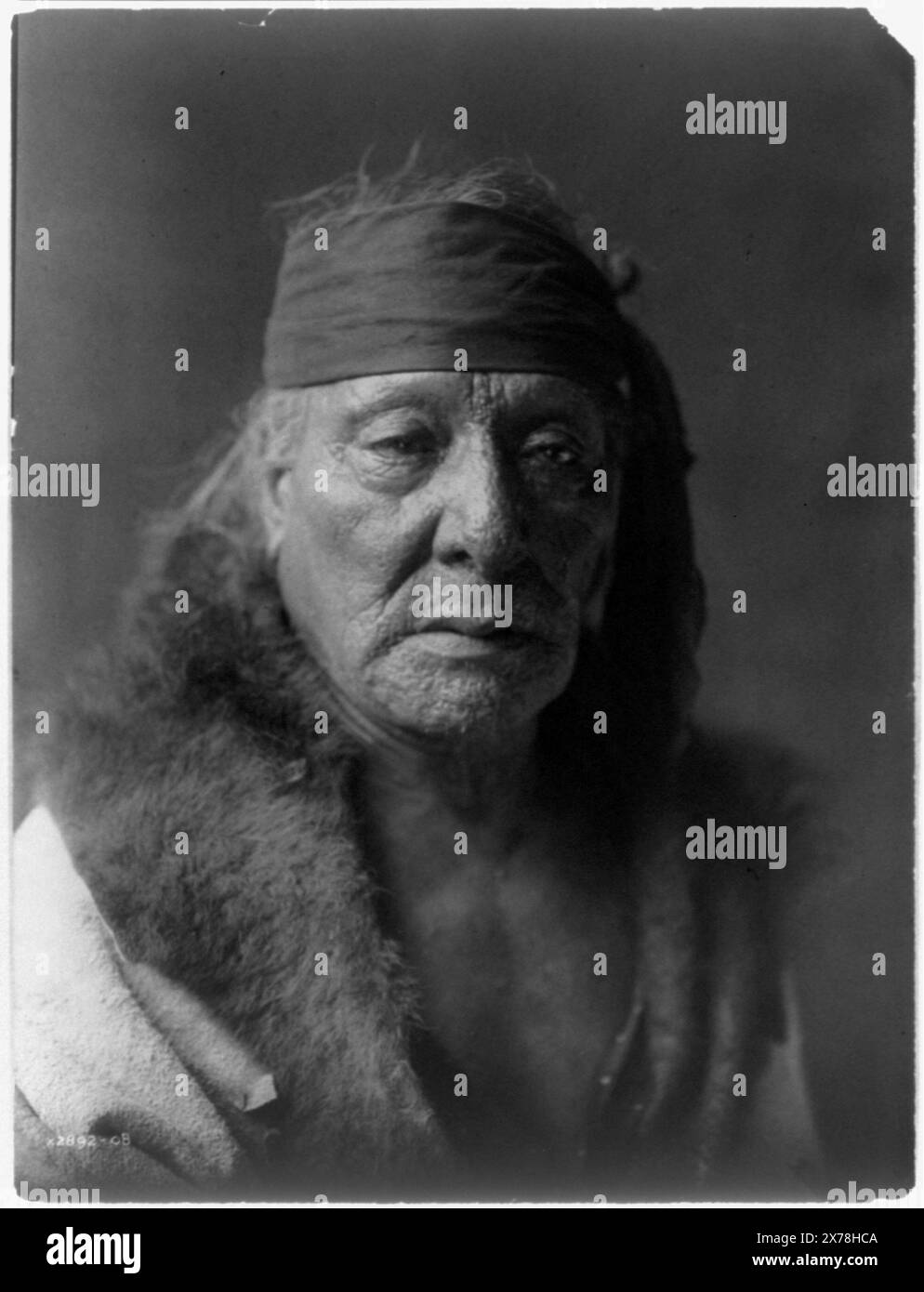 Bears teeth Black and White Stock Photos & Images - Alamy