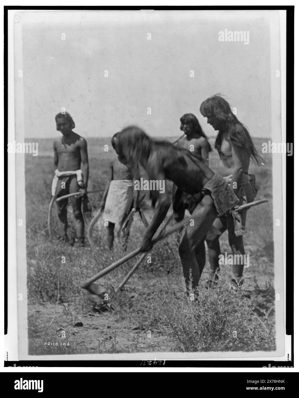 Digging out the snakes Hopi, Curtis no. 2110-06., Forms part of: Edward ...