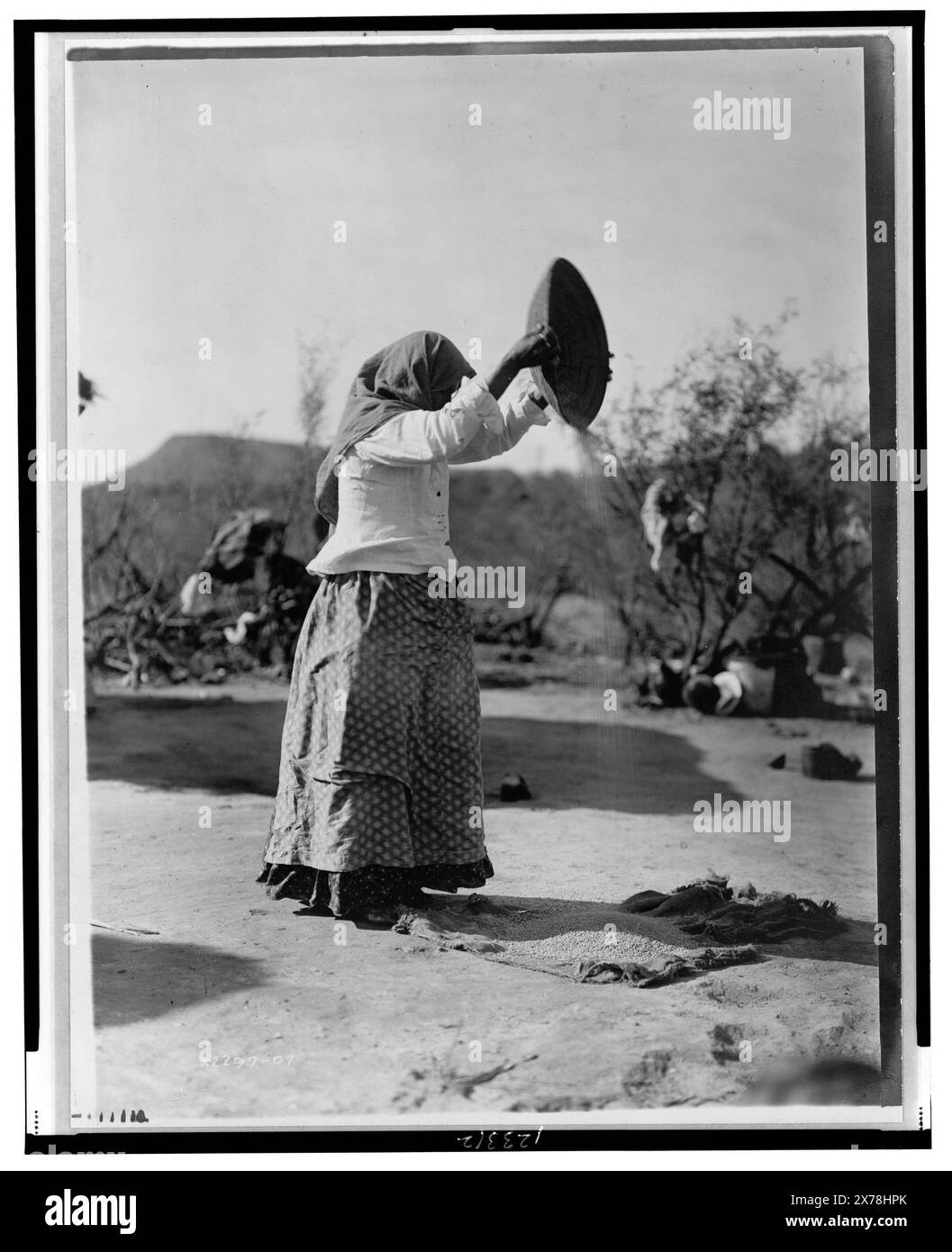 Papago cleaning wheat (Winnowing wheat), Curtis no. 2297-07., Forms ...