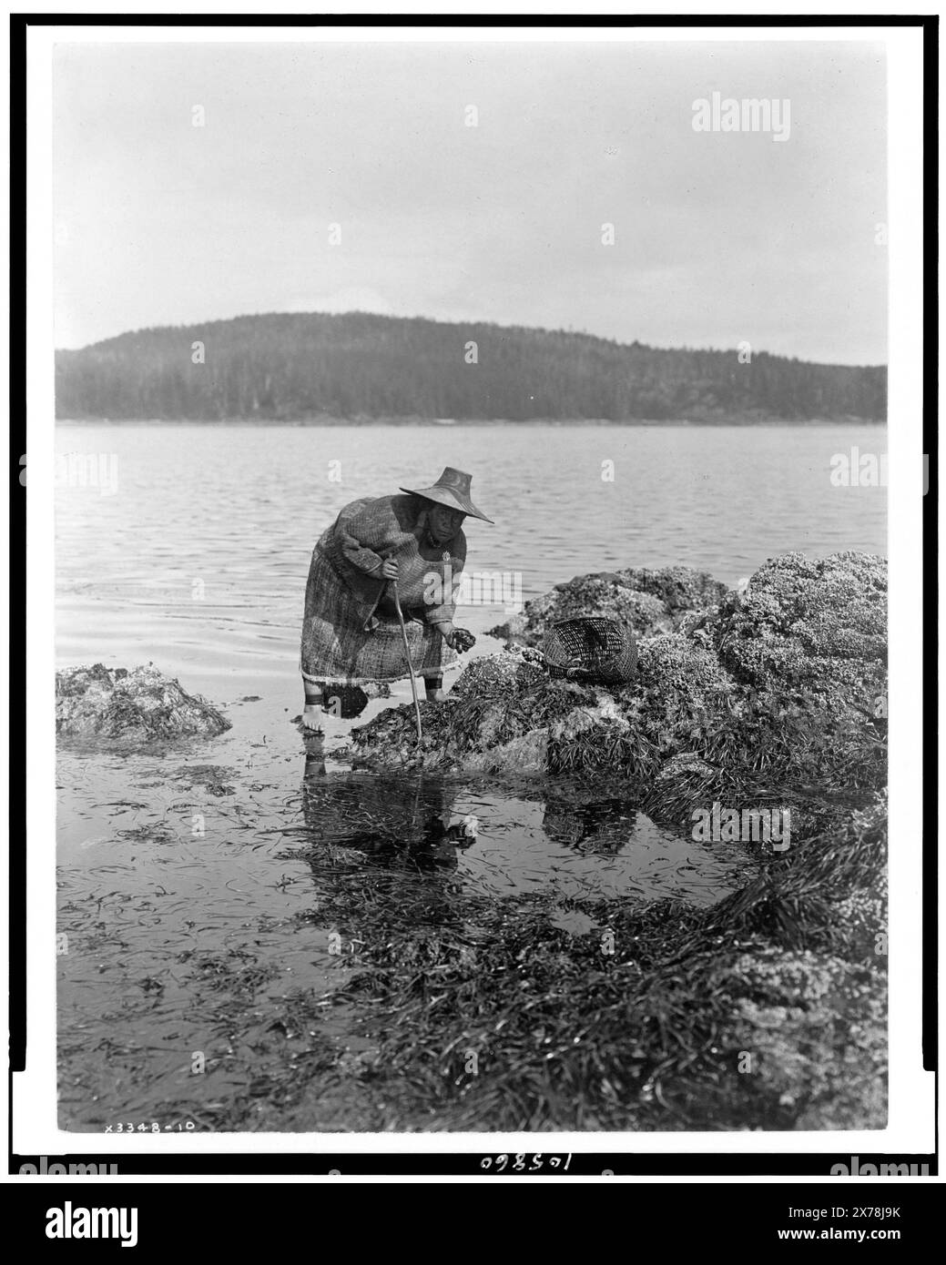 British columbia indians food hi-res stock photography and images - Alamy