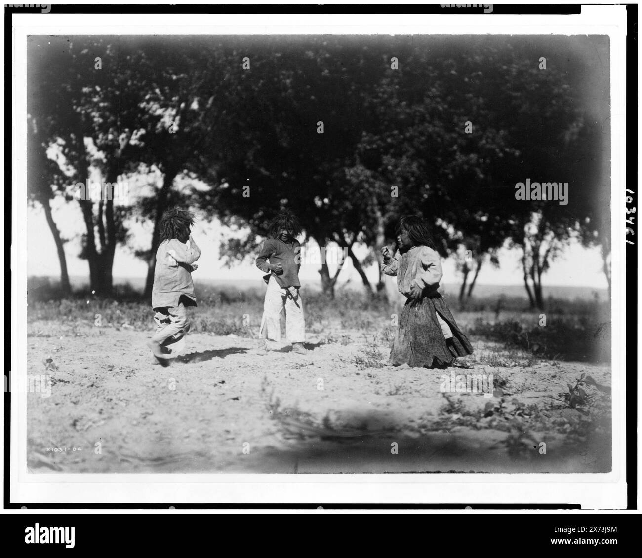 Child life, the cotton woods Navaho, Edward S. Curtis Collection ...