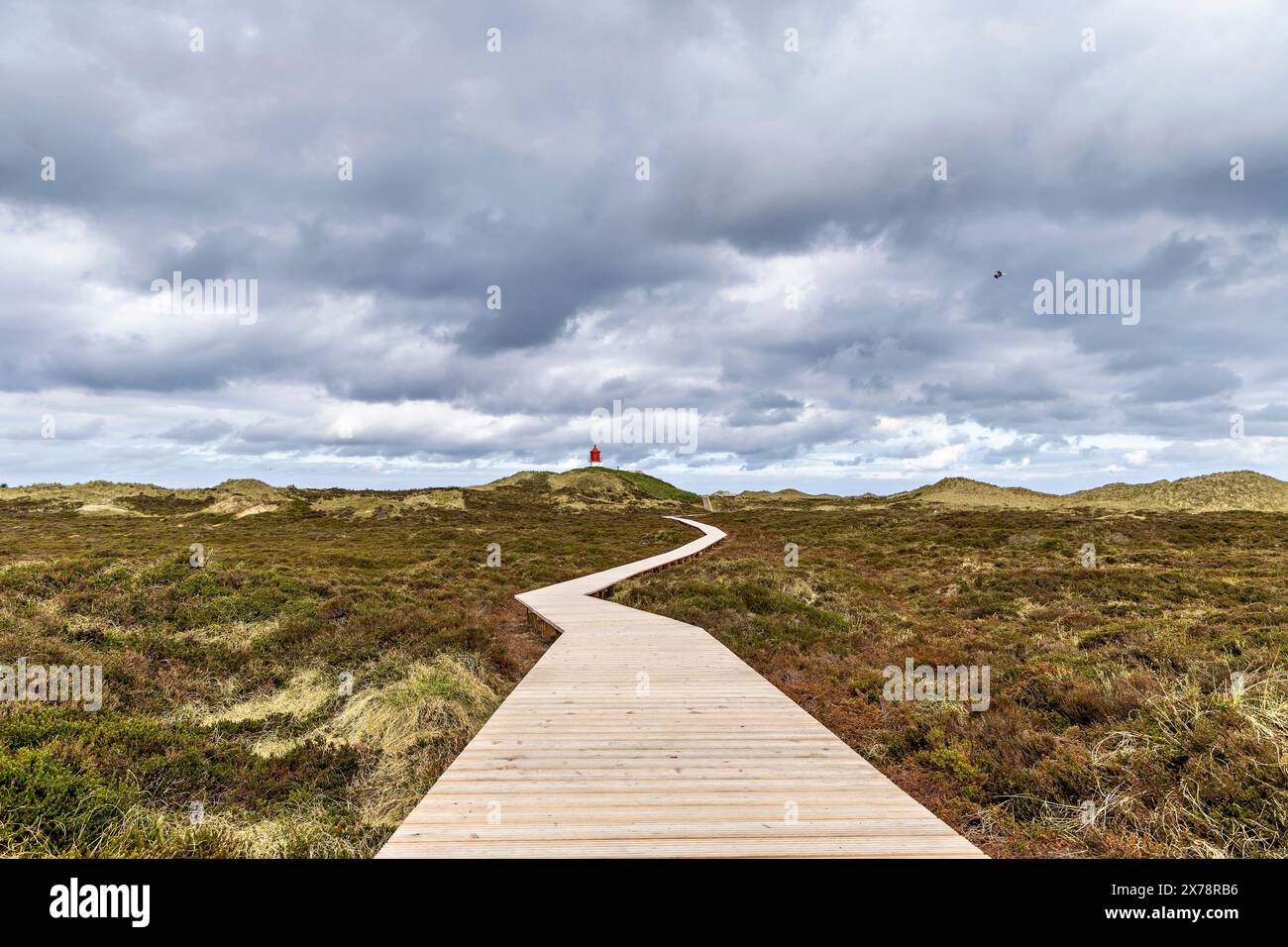 Plank path through the dune landscape Stock Photo - Alamy