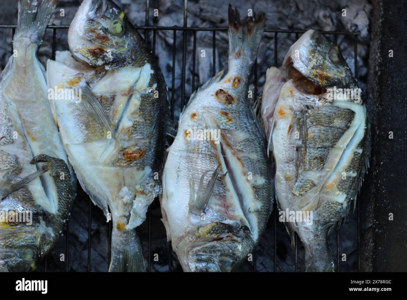 Cooking fish outdoor. Baking and roasting fish on barbecue grill. Fish ...