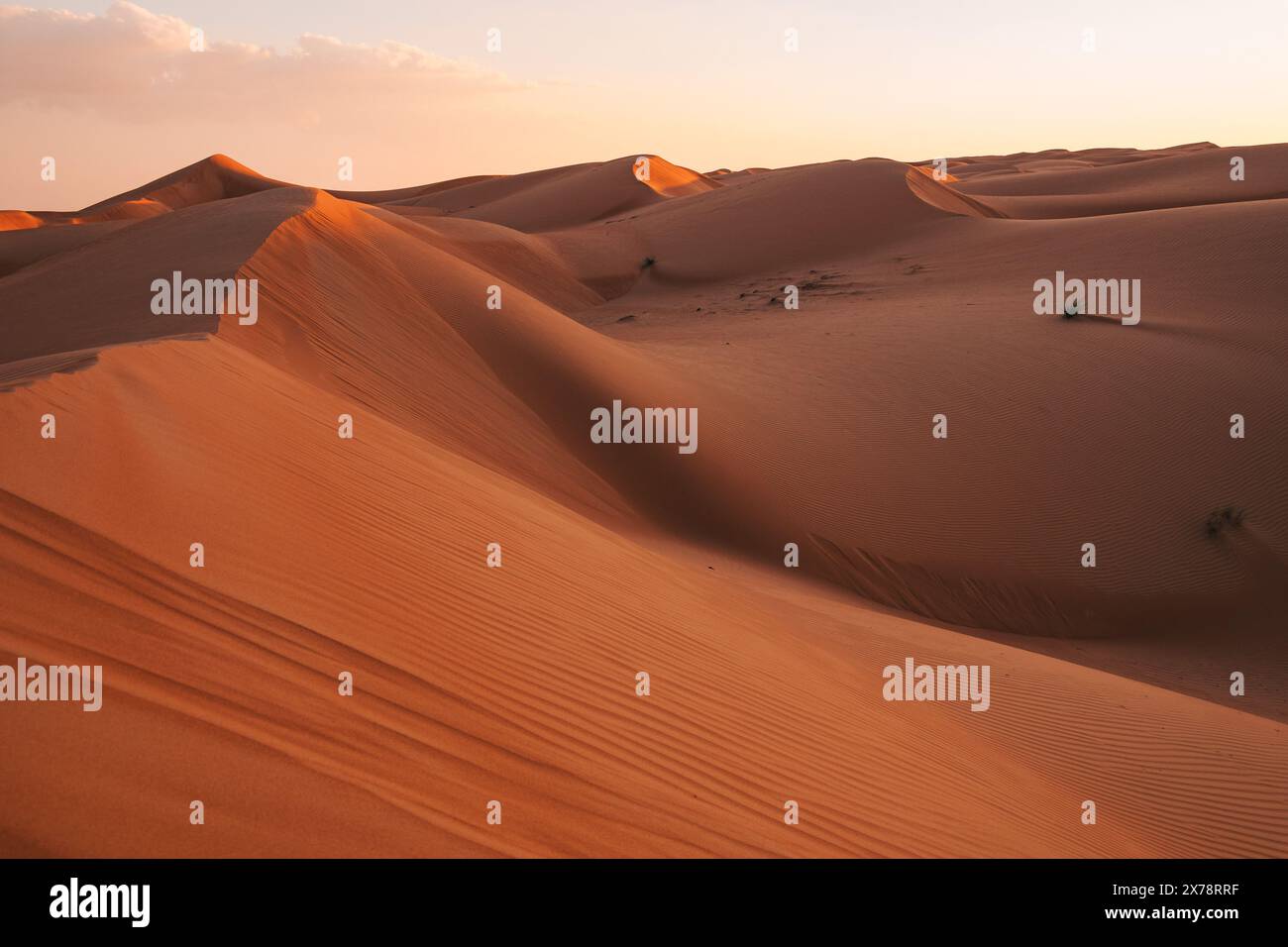 a sand dune in shadow during the late evening, creates a gentle soft ...