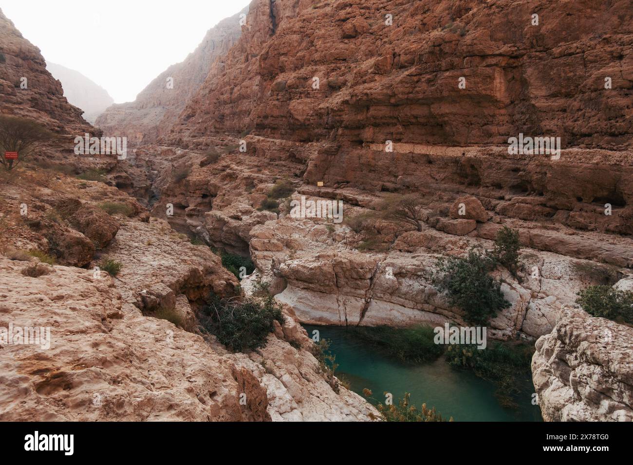 Turquoise pools nestled between steep limestone cliffs in Wadi Shab ...