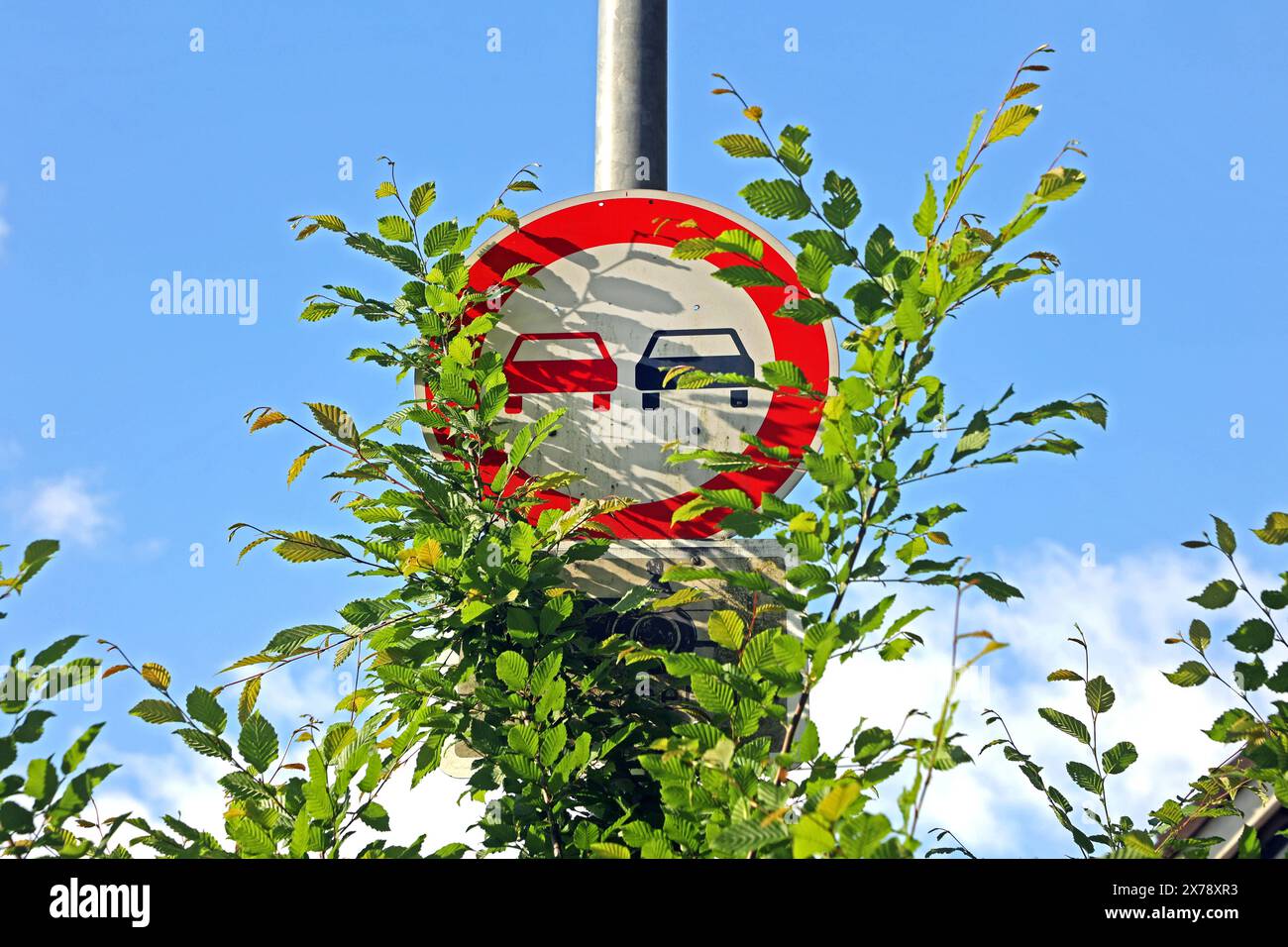 Mangelnde Verkehrssicherungspflicht Zugewachsene und nur noch schwer ...