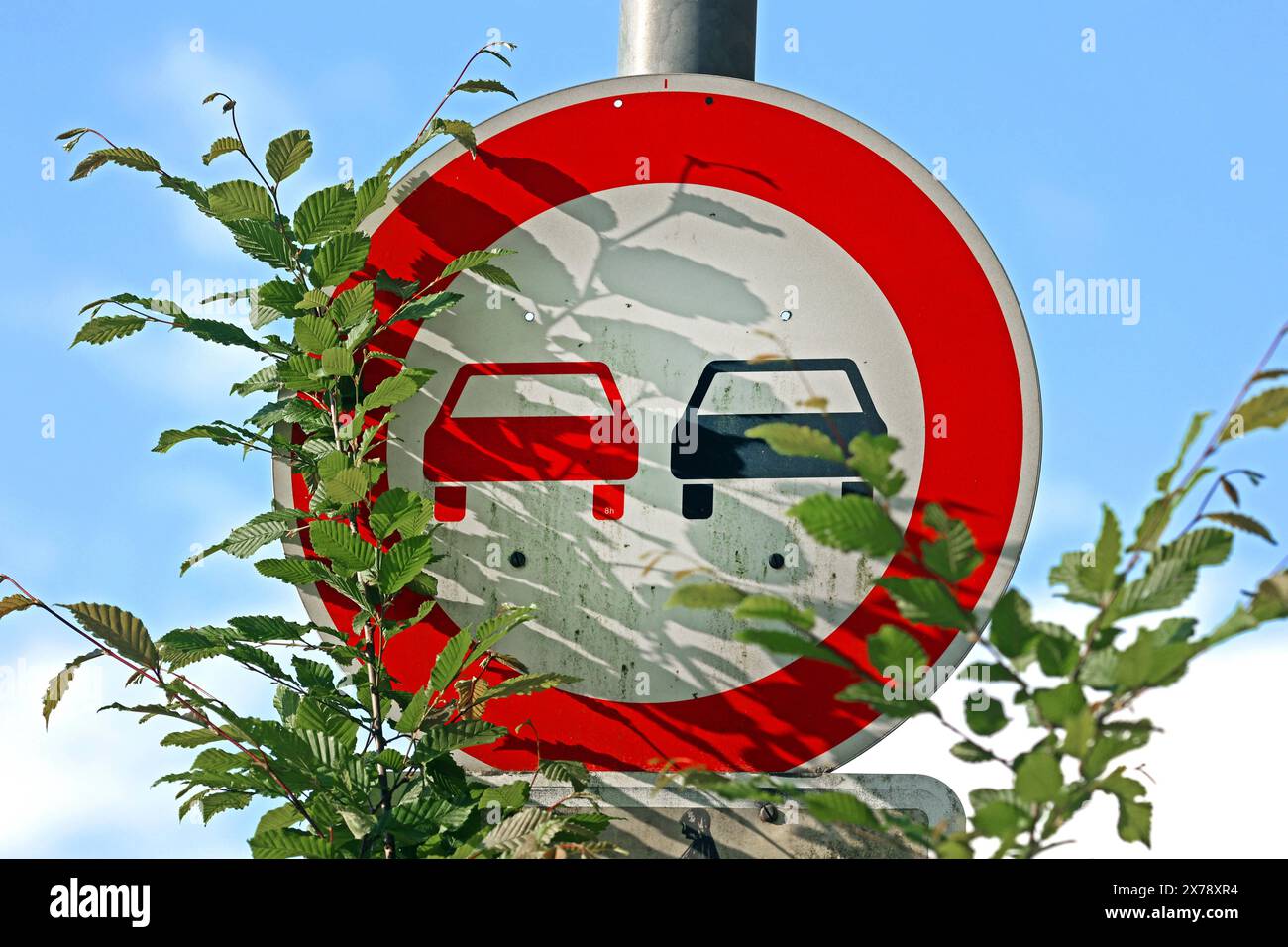 Mangelnde Verkehrssicherungspflicht Zugewachsene und nur noch schwer ...