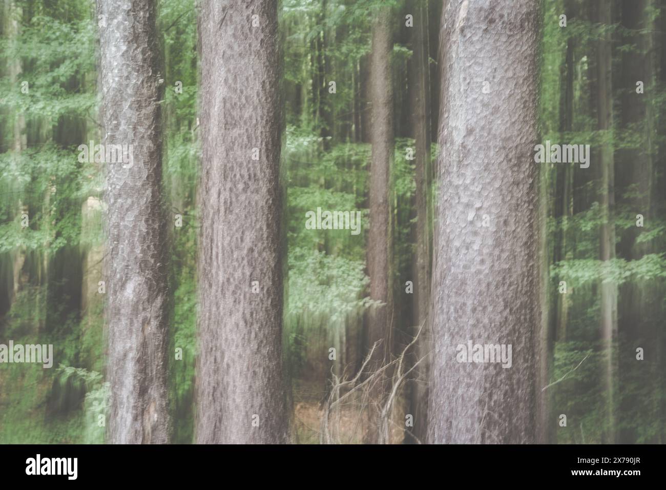 Abstract intentional camera movement photo with a forest. Moody eerie ...