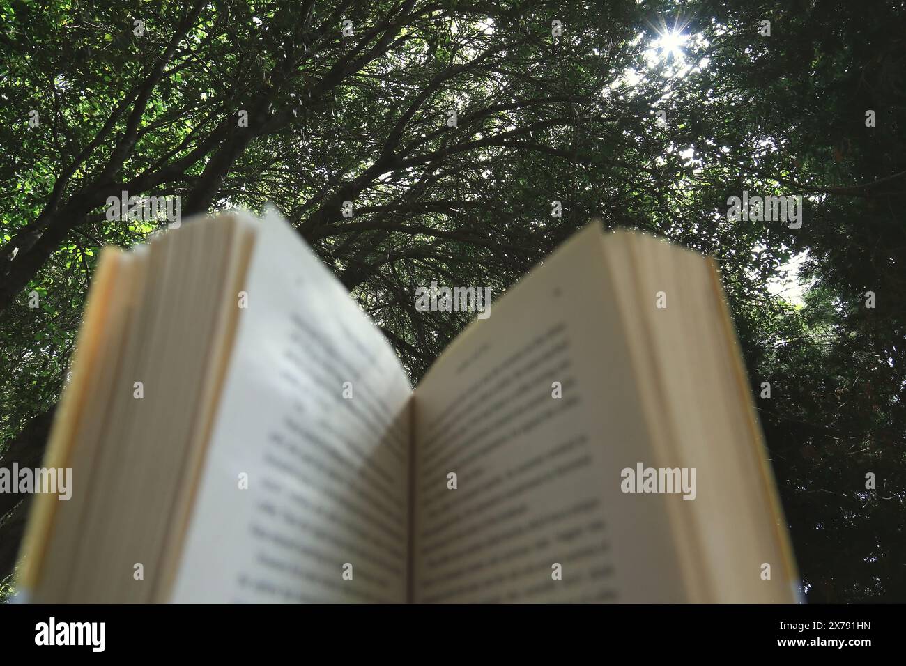Dream read hi-res stock photography and images - Alamy