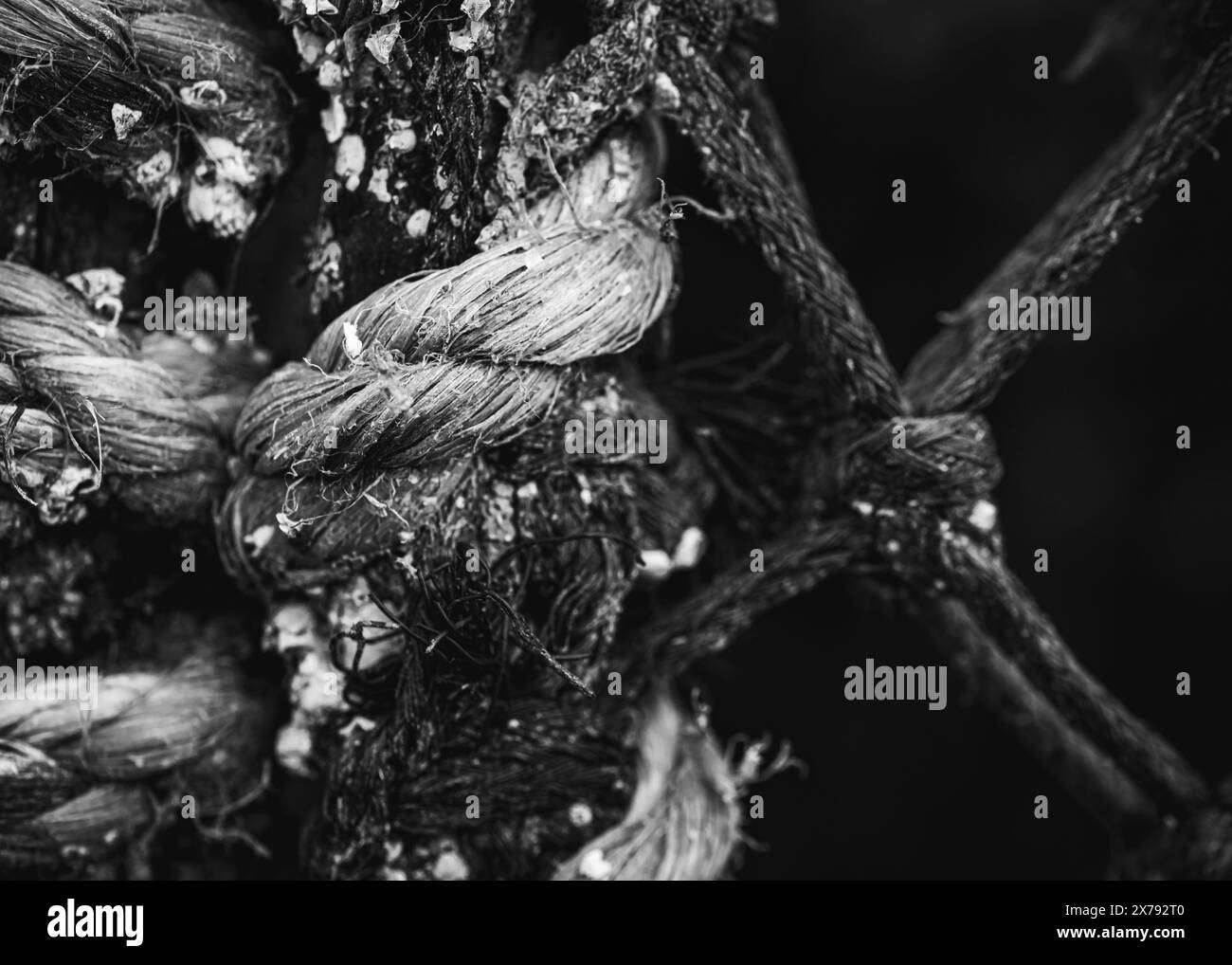 Coastal fishing equipment Black and White Stock Photos & Images - Alamy