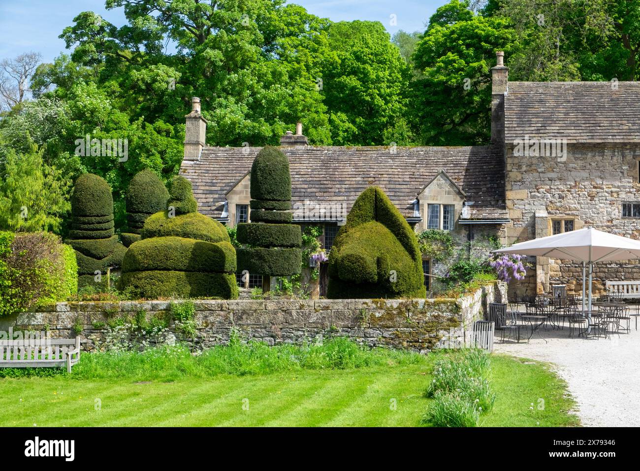 garden topiary at Haddon Hall, Derbyshire,England, UK Stock Photo - Alamy