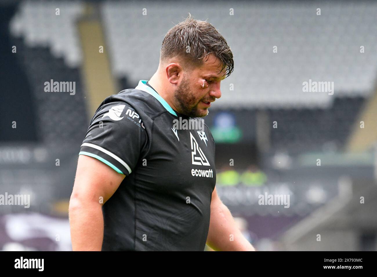Rugby eye hi-res stock photography and images - Alamy