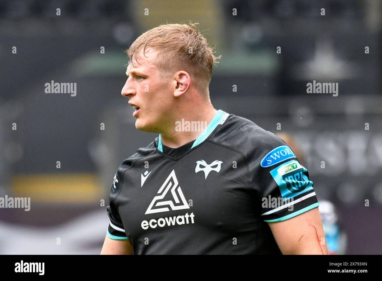 Jac morgan wales rugby union hi-res stock photography and images - Alamy