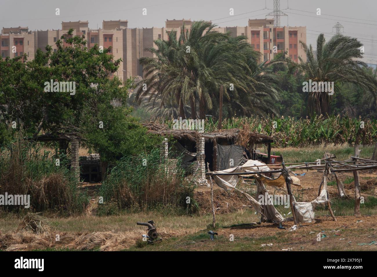 Waters edge vegetation hi-res stock photography and images - Alamy
