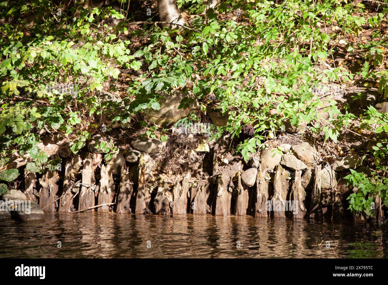 Summer landscape with a small river. River flowing and green bushes on ...