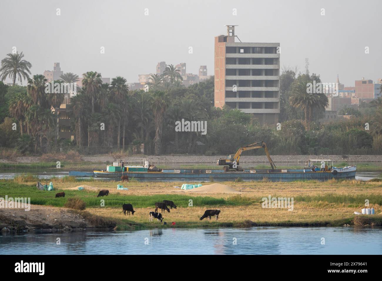A river Nile bank view at waters edge, Egypt, Africa Stock Photo - Alamy