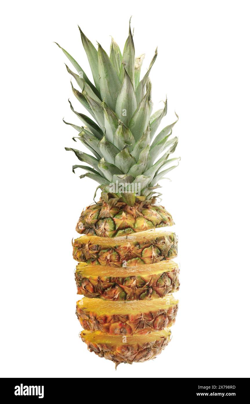 Detail cut pattern on Cut Out Stock Images & Pictures - Alamy