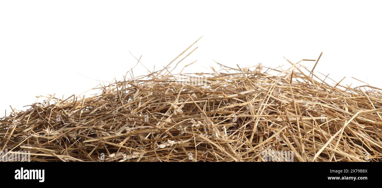 Dried straw isolated on white. Livestock feed Stock Photo - Alamy