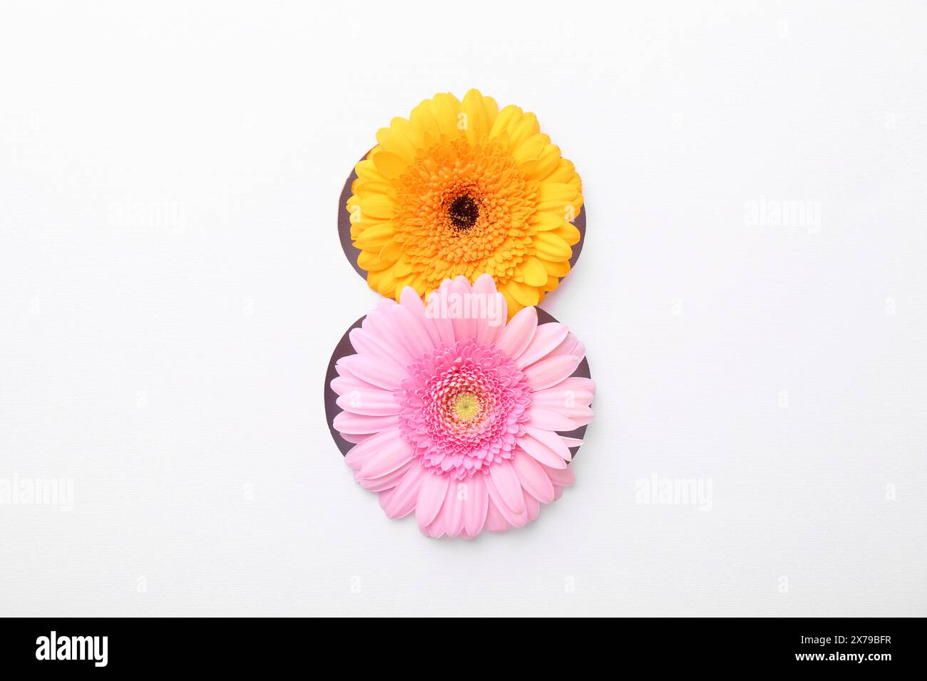 Number 8 shape hole in white paper with beautiful flowers, top view ...