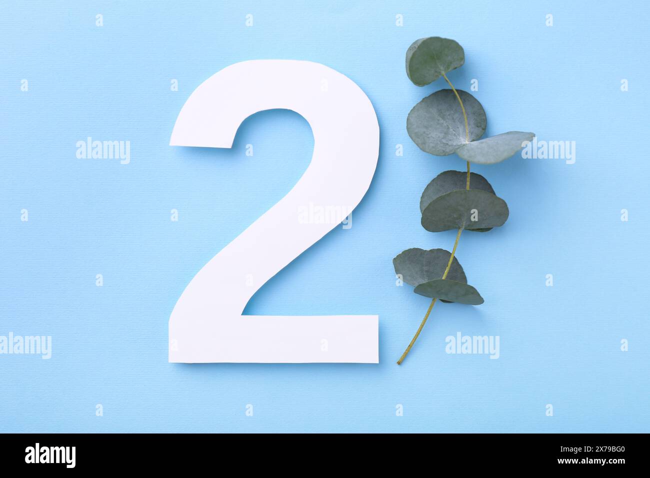 Paper number 2 and eucalyptus branch on light blue background, top view ...
