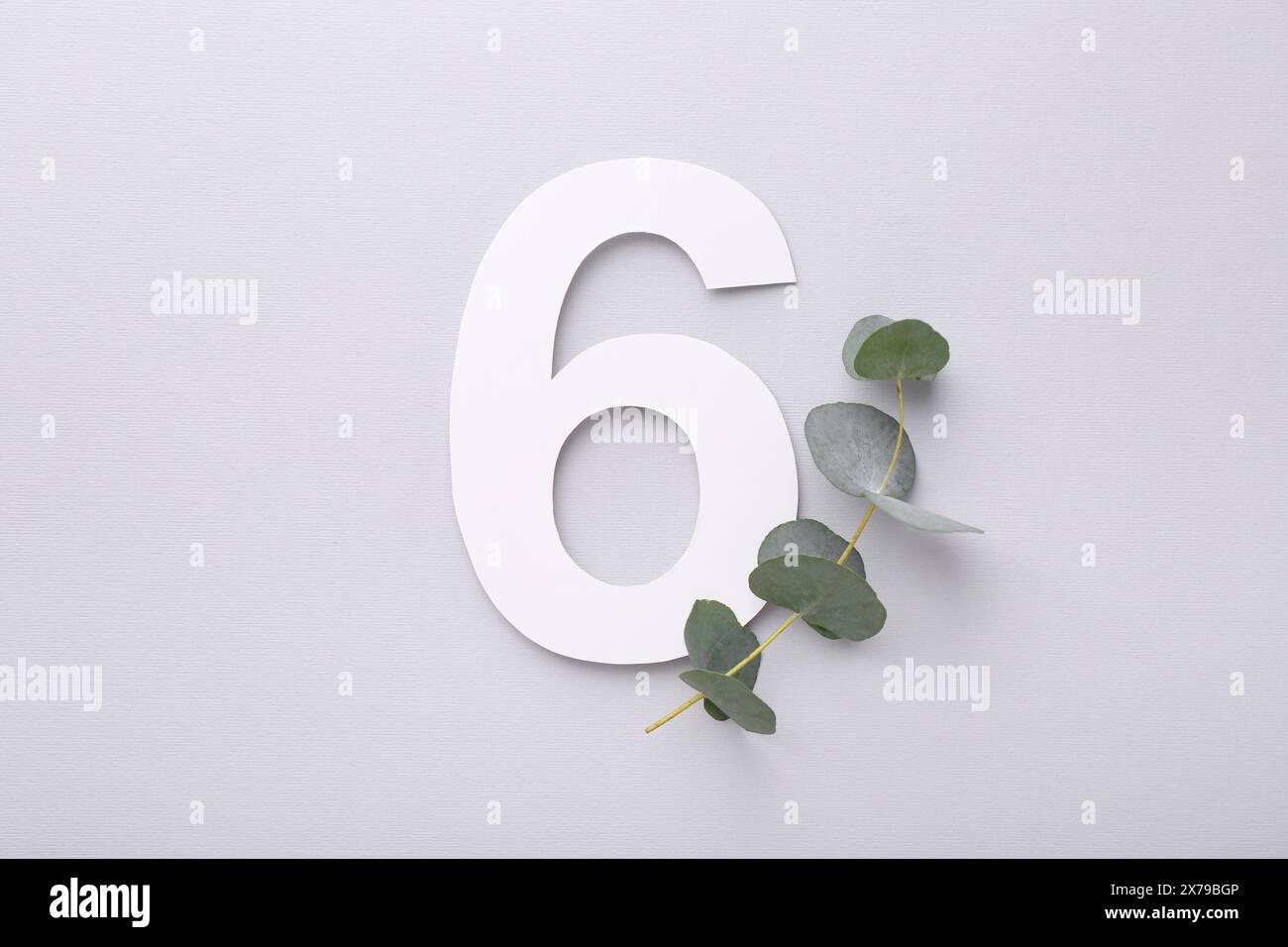 Paper number 6 and eucalyptus branch on light grey background, top view ...