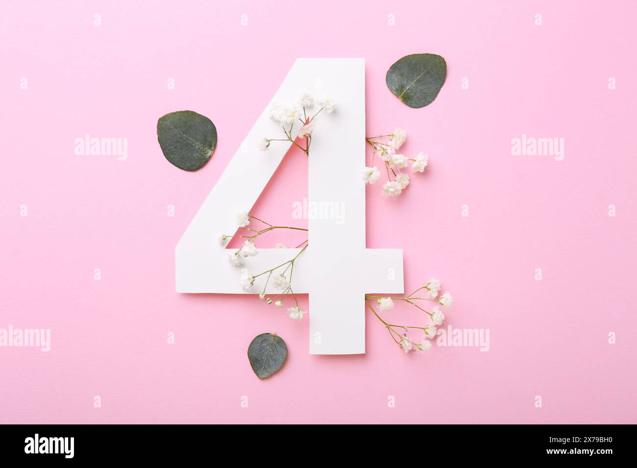 Paper number 4, gypsophila flowers and eucalyptus leaves on pink ...
