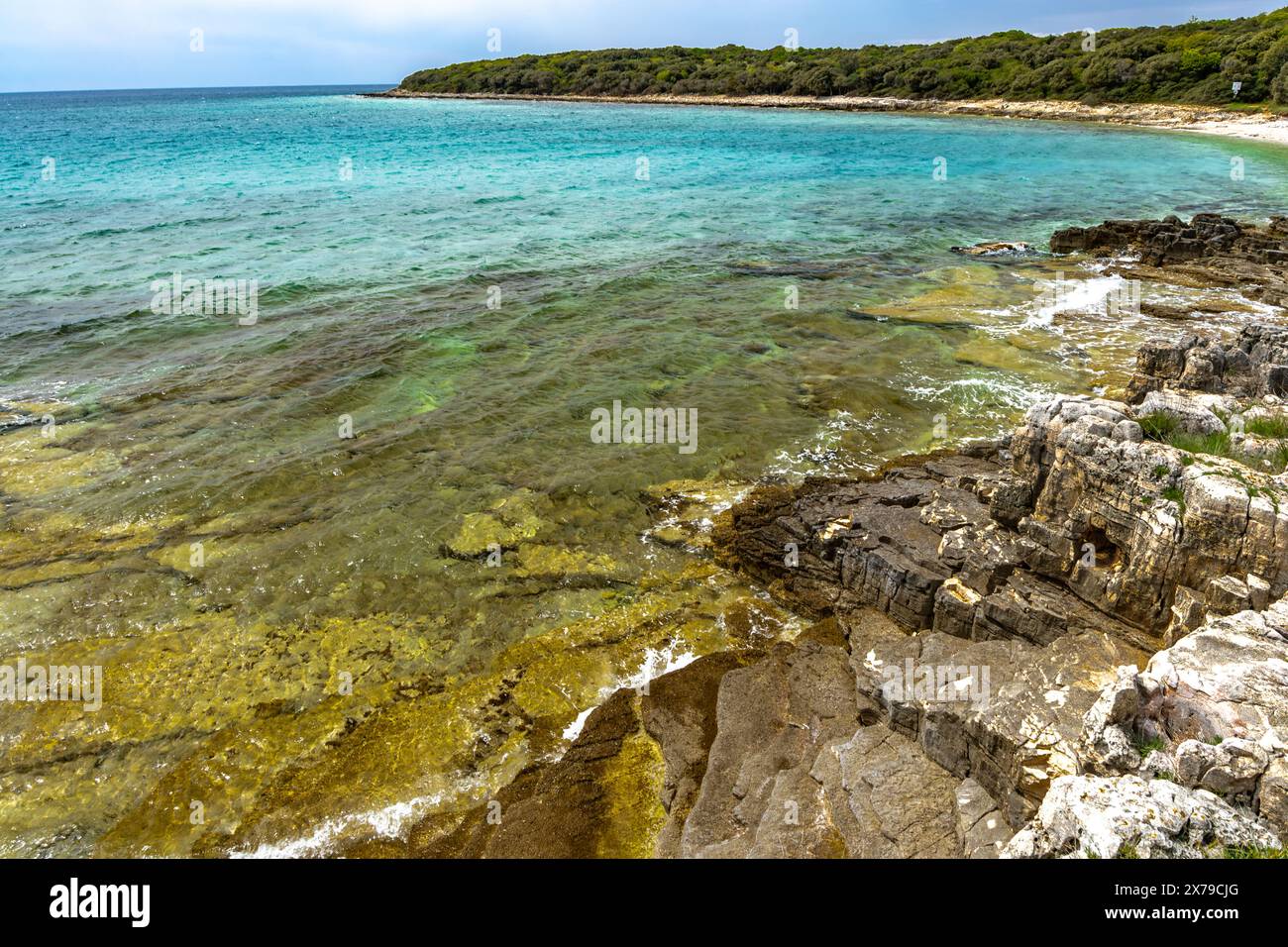 Romantic beach in Croatia, azure water, rocky shore of Rovinj Istria ...