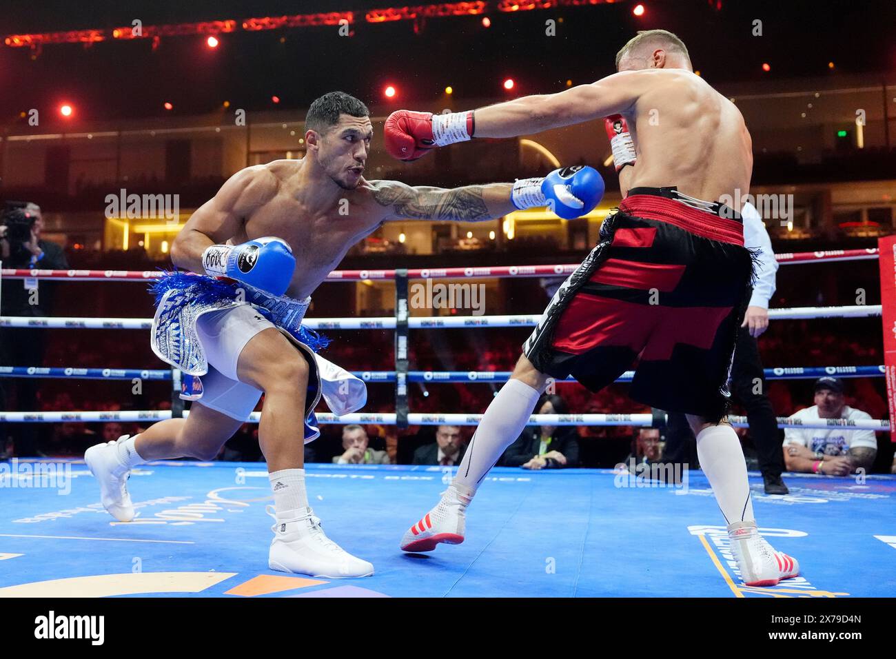 Briedis Hi Res Stock Photography And Images Alamy