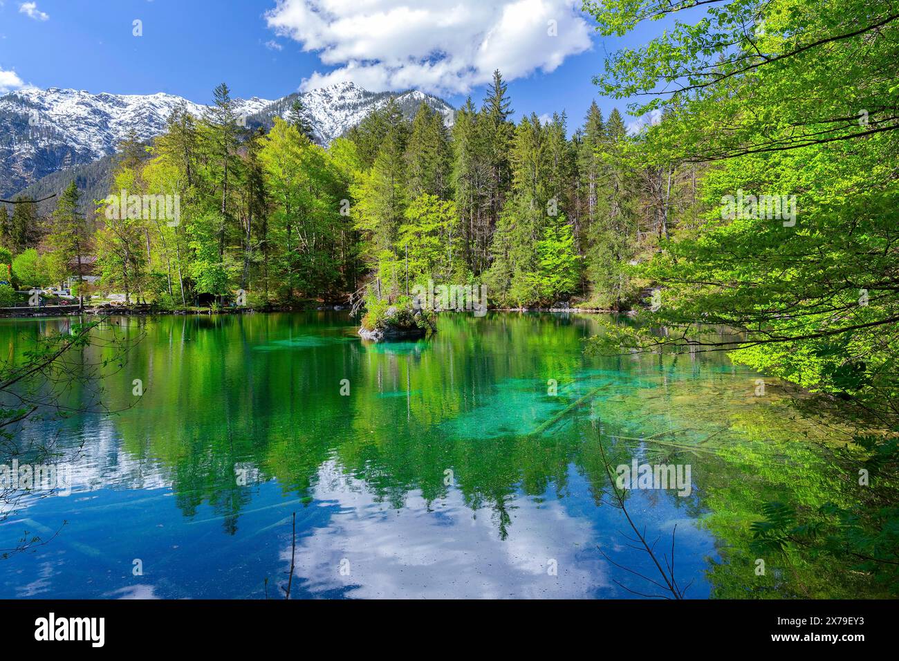 Spring at Lake Badersee, Zugspitzdorf Grainau, Werdenfelser Land ...