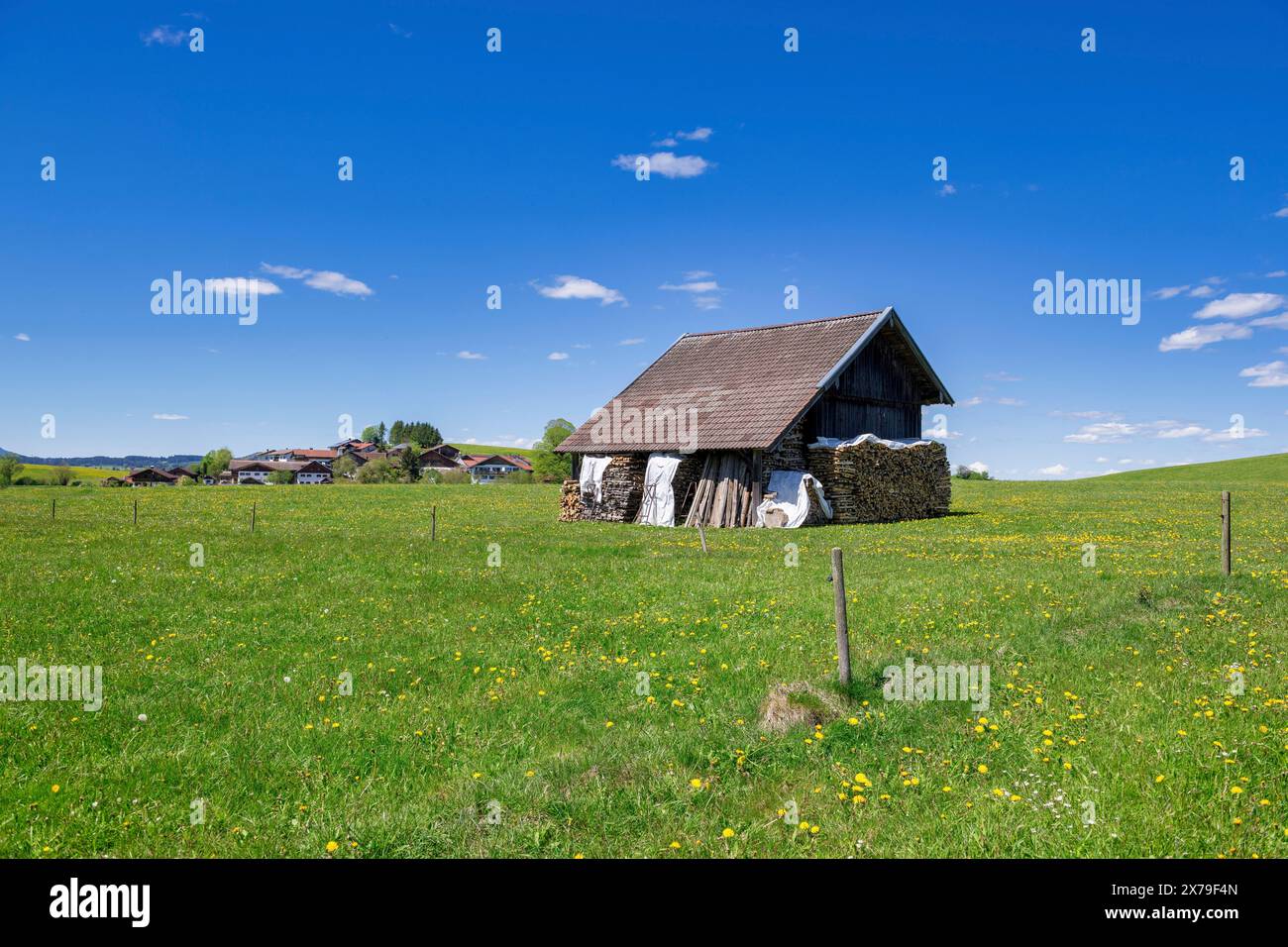 Wooden hut on meadow, Allgaeu Alps, snow, forest, Ostallgaeu, near ...