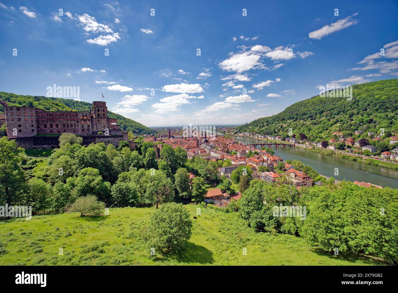 View of Heidelberg Castle and castle ruins and the city of Heidelberg ...