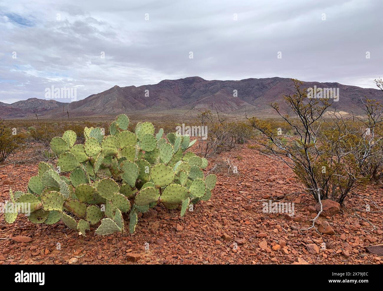 Landscape view in Franklin mountains, El Paso Texas Stock Photo - Alamy